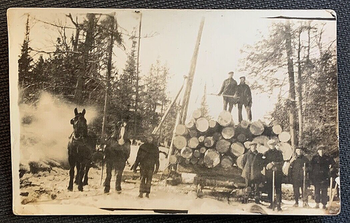 ANTIQUE WA State Loggers Lumberjacks w Horses Cut Log Real Picture RPPC ...