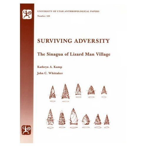 Surviving Adversity/Anth Paper 120 by Kathryn Kamp (Paperback, 1998 ...