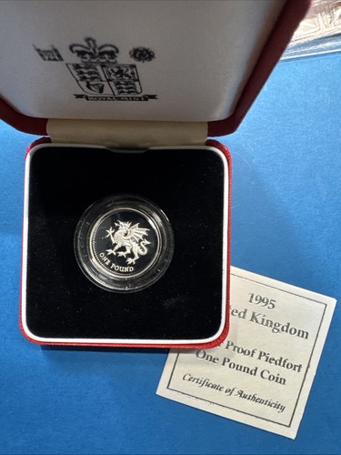 1995 UK Silver proof Peidfort One Pound Coin COA (F312) | eBay