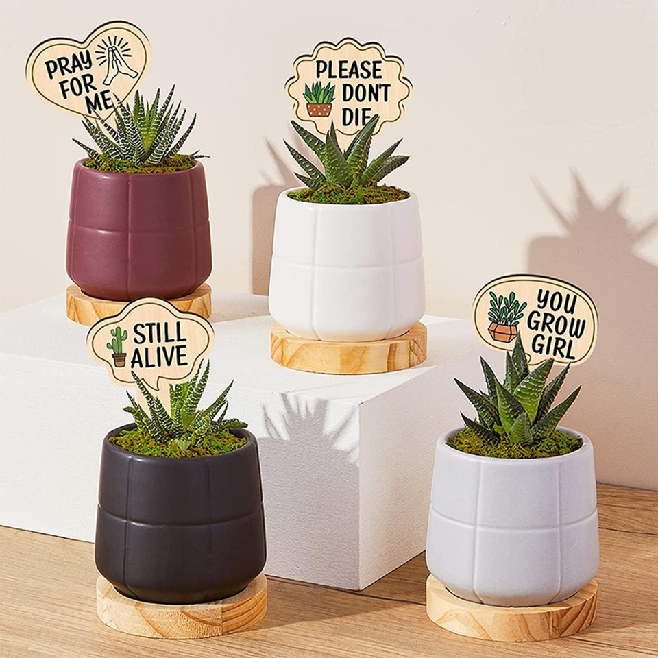 15pcs Wood Plant Labels Sticks Waterproof Garden Markers Name Tags ...