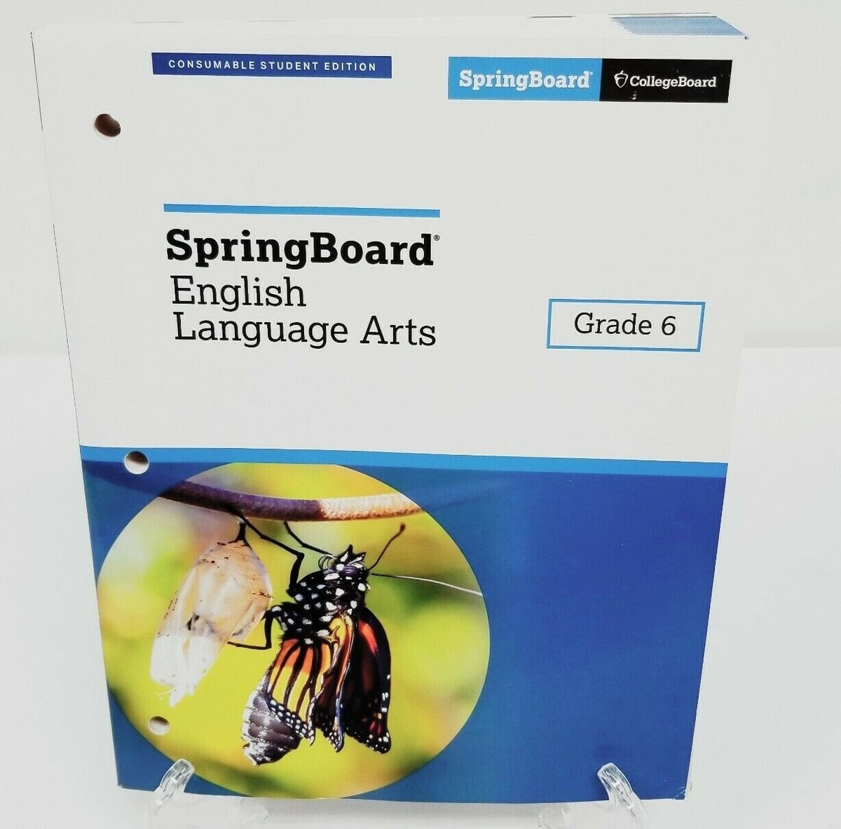 6th Grade Language Arts Class Online 6th Grade Middle School