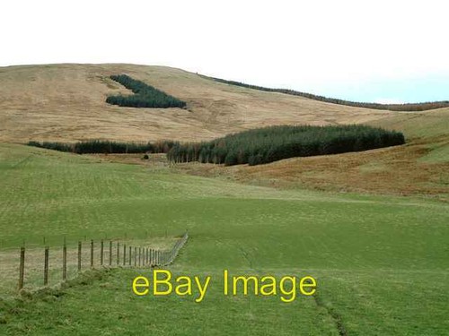 Photo 6x4 Lendrick Hill Yetts o' Muckhart View North west to slopes of ...