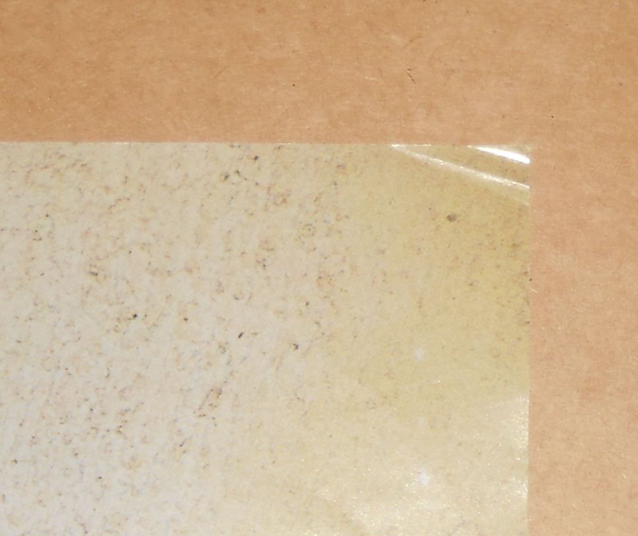 Jessica Rana Poster Model 20x16 (brick wall) RARE | eBay