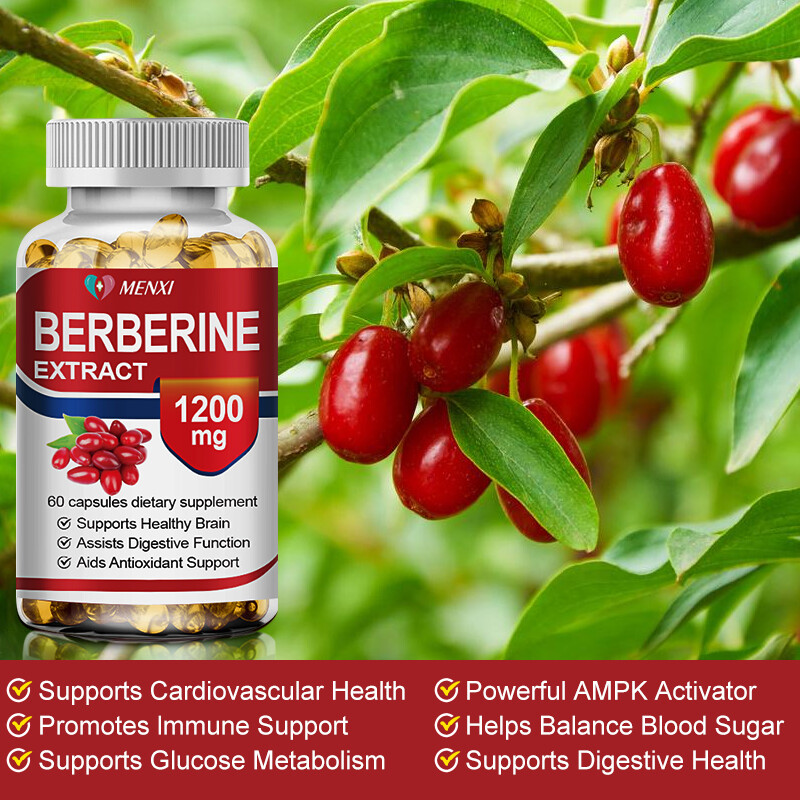 Premium Berberine HCL Extract 1200mg Capsules - Blood Sugar Support ...