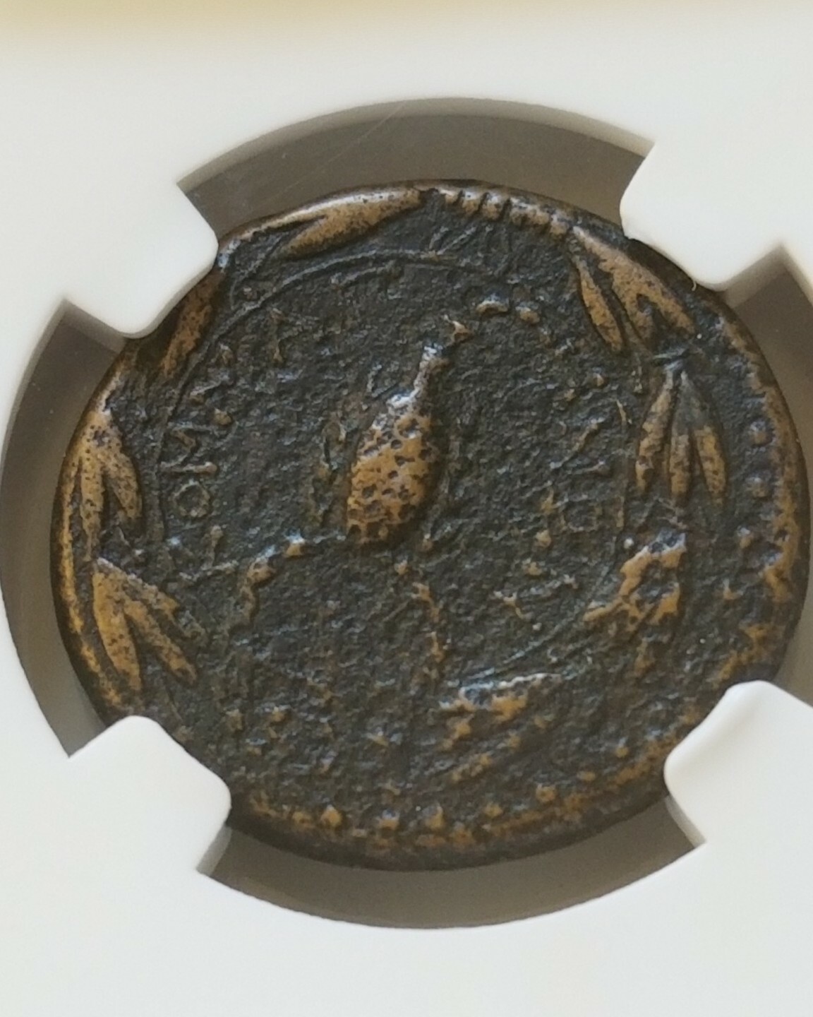 Kings Of Commagene Scorpion Coin AE26 NGC Choice Fine. Ancient RARE! | eBay