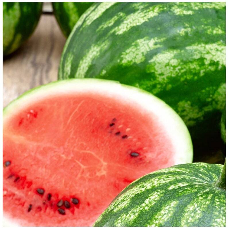 Cal Sweet Supreme Watermelon Seeds 25+ Fruit Melon Heirloom NON-GMO ...