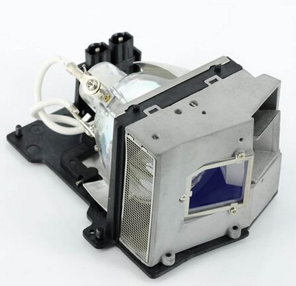 OPTOMA SP.81D01.001, BL-FU250D Projector Lamp with OEM Philips UHP bulb ...