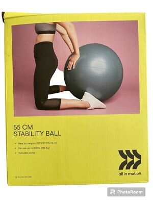 All In Motion 55cm Stability Ball With Pump | eBay