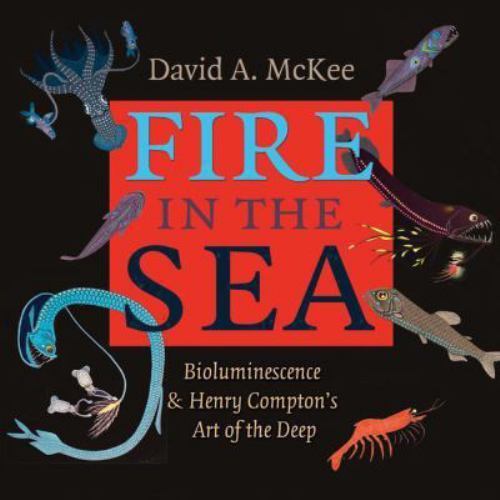 Fire in the Sea : Bioluminescence & Henry Compton's Art of the Deep by ...