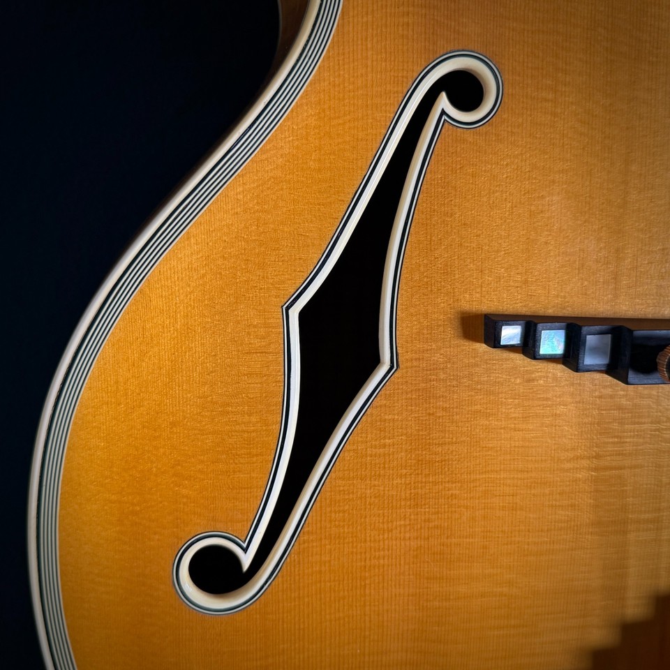 2002 D'Angelico 16" New Yorker Custom Supreme - Michael Lewis ...