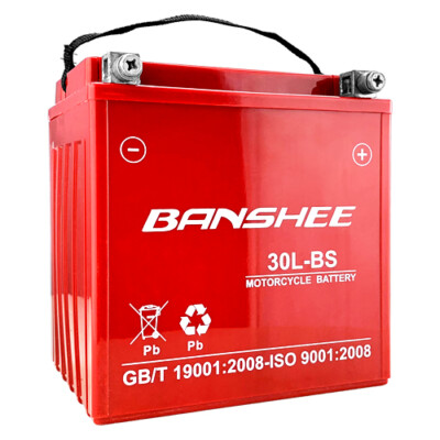 500 CCA 4014609 12 Volt 30AH AGM Battery 2015-2019 for Slingshot Ace ...