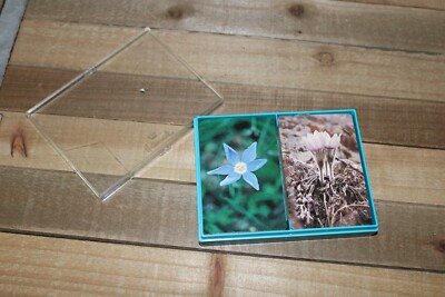 2 Decks Vintage Hallmark Playing Cards, Complete, Great Shape, Flowers ...