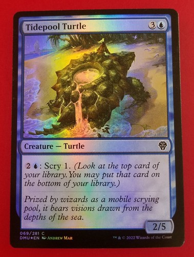 1x Tidepool Turtle | FOIL | Dominaria United | MTG Magic Cards | eBay