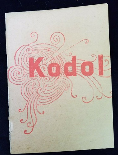 1890's Quack Medicine AD Book KODOL Cough Cure Witch Hazel EC DeWitt ...