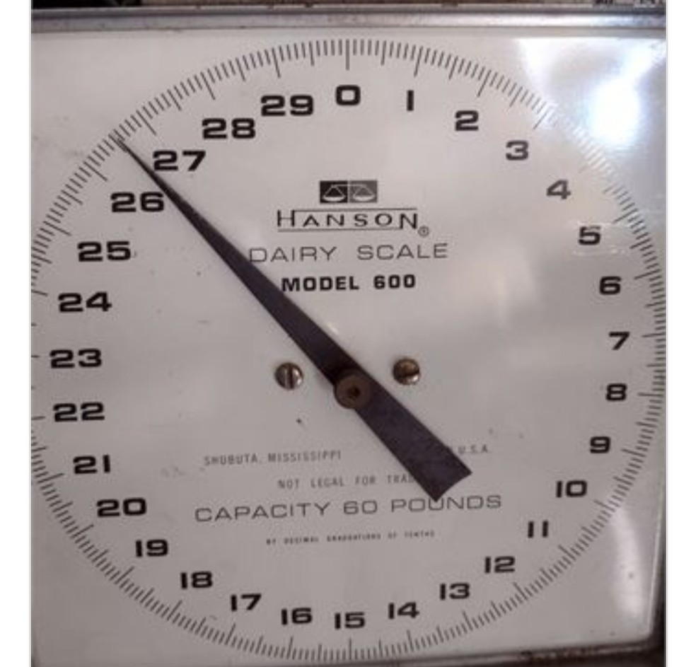 Hanson Dairy Scale Model 600 Metal Hanging Capacity 60Lbs + Tray Made ...