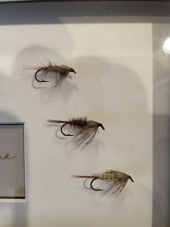 DETTE TROUT FLY FISHING DISPLAY 6 Flies Nymphs FRAMED & Signed W/ Pin ...