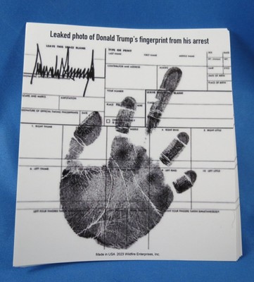 WHOLESALE LOT OF 10 TRUMP ARREST FINGERPRINT Middle Finger 2024 ...