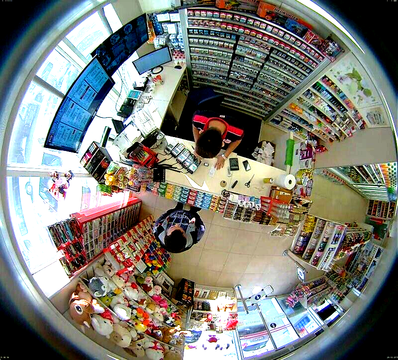 Camera 360 Degree Panoramic Fisheye Camera 3D Wired Security Camera ...