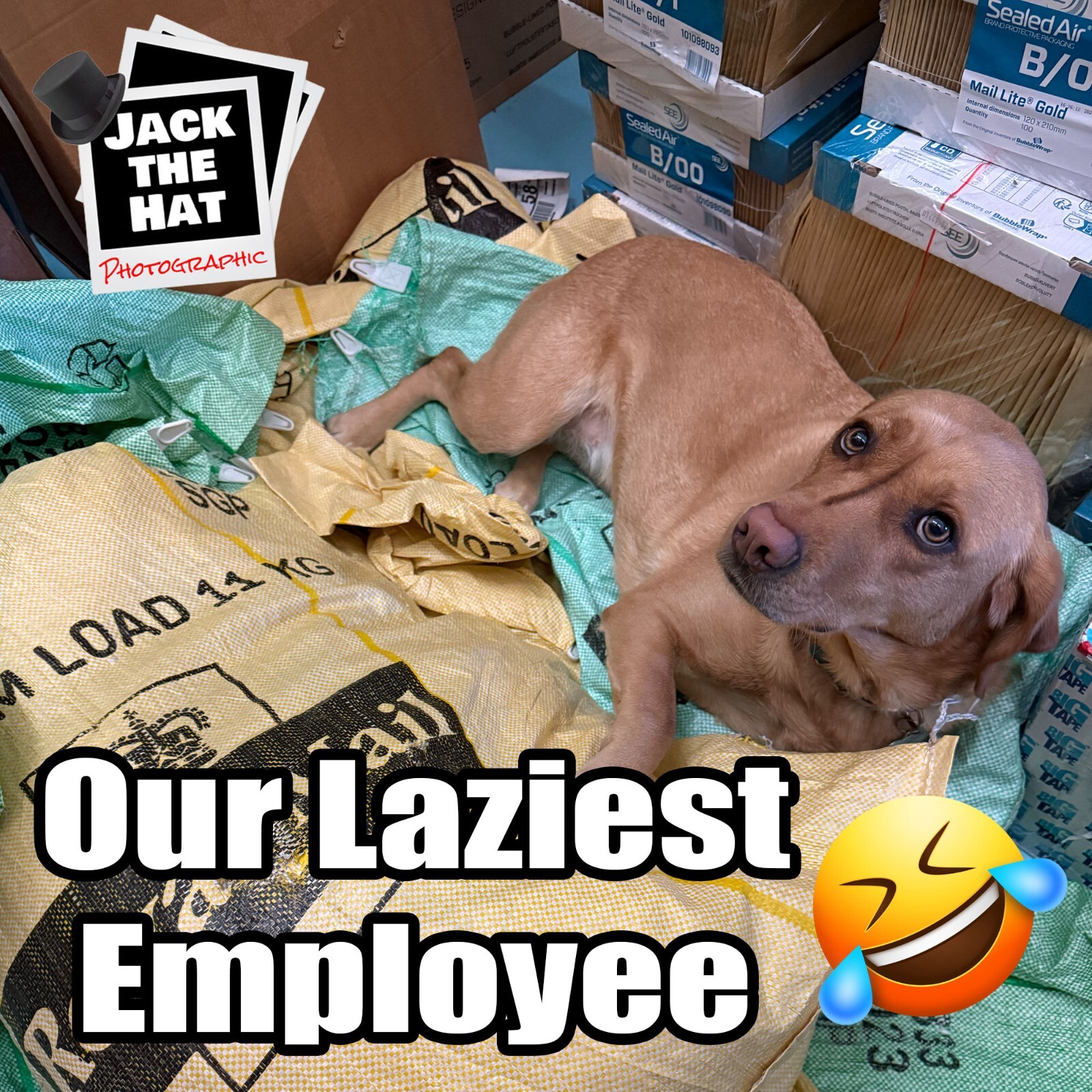 Hoya Red Filter R1 52mm Multi Coated Multicoated Lens Glass Camera ...