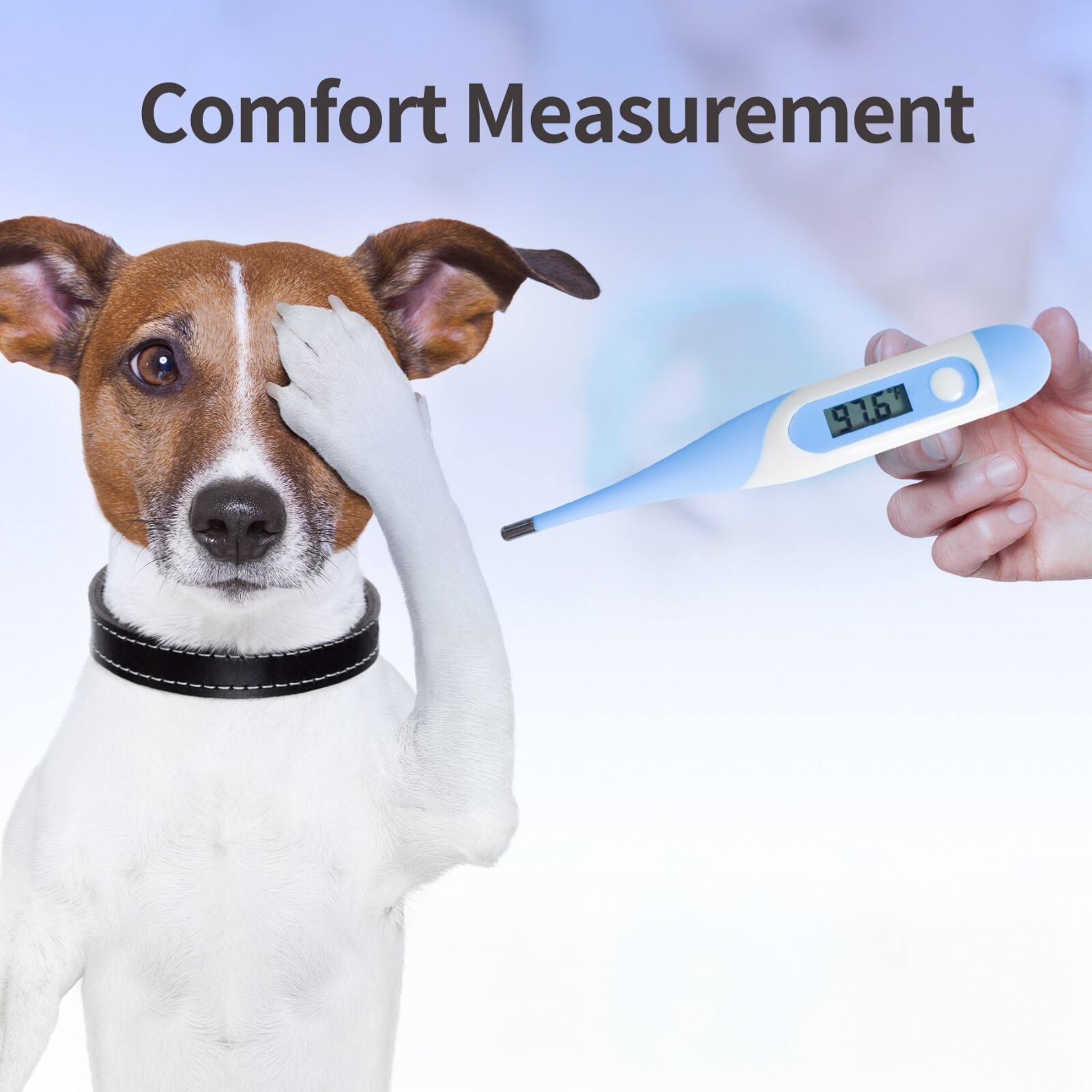 Veterinary Digital Electronic Thermometer VET temp probe LCD Sound Pets ...