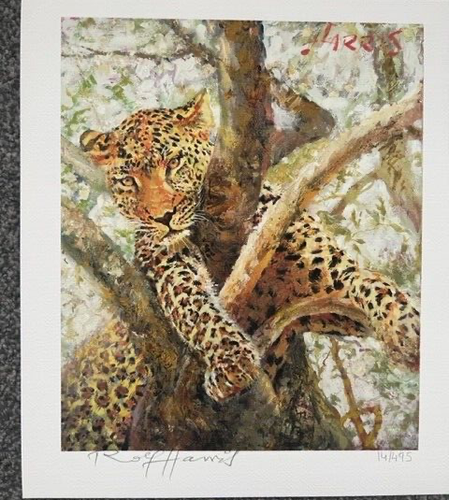 Rolf Harris A world of Wildlife Limited edition book, Signed, Print ...