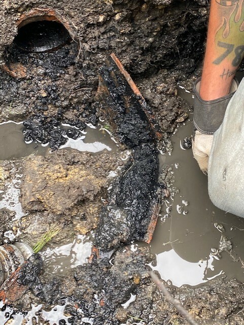 Bio-Safe One, Inc - BIO-112 Heavy Sludge Digester Septic Tank Treatment ...