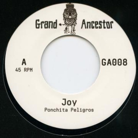 7" PONCHITA PELIGROS / Joy / Joy Dub GA008 Grand Ancest US | eBay