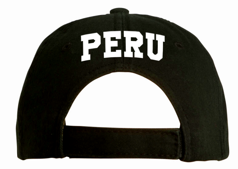 Alianza Lima soccer club Peru vinyl heat pressed CURVED BRIM cap gorra ...