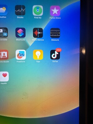 TIK TOK APP Apple iPad mini (5th Generation)64 GB, Wi-Fi, 7.9 in ...