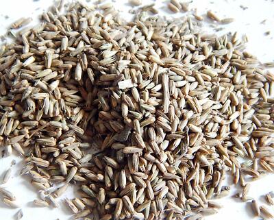 Apamarga Apamarg Achyranthes Aspera Seeds Chirchita Chirachinta ...