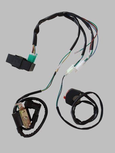 Complete Kick Start Engine Wire Wiring Harness Loom Kit 125cc PIT PRO ...