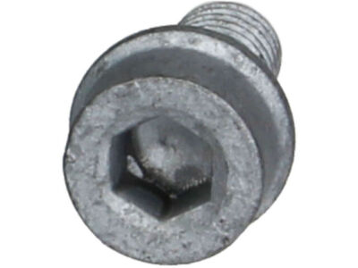 Rein 83XJ34W Harmonic Balancer Bolt Fits 1998-2005 VW Beetle | eBay