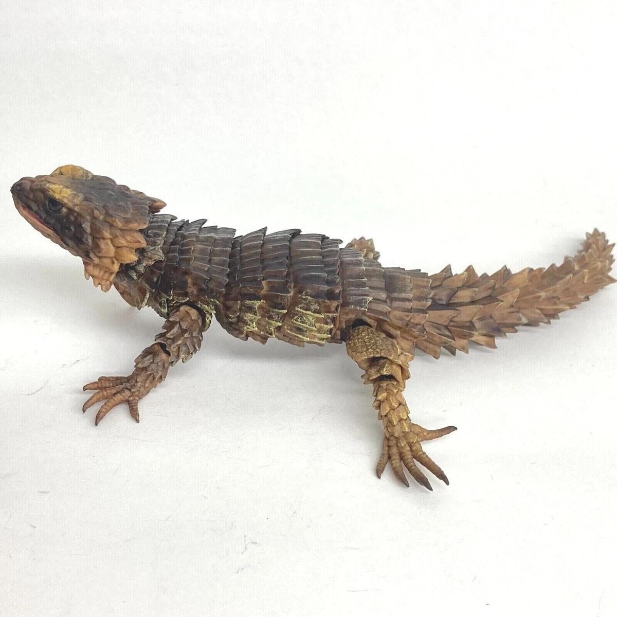 Armadillo Lizard Pet