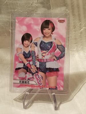 2022 MOMOKA HANAZONO #084 BBM Woman's Wrestling card STARDOM US SELLER ...