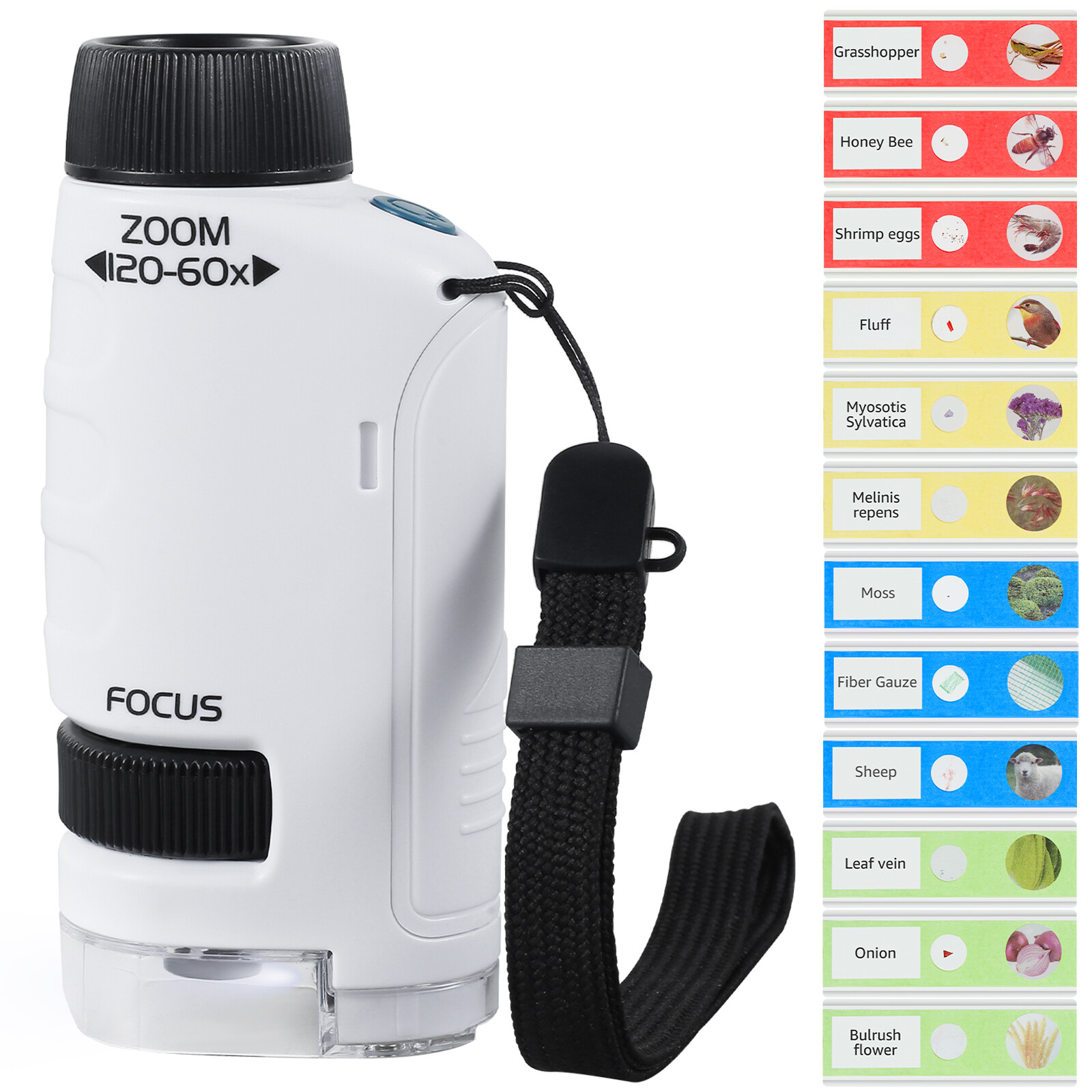 Mini Portable Microscope Kids Microscope with LED Light Small Pocket ...