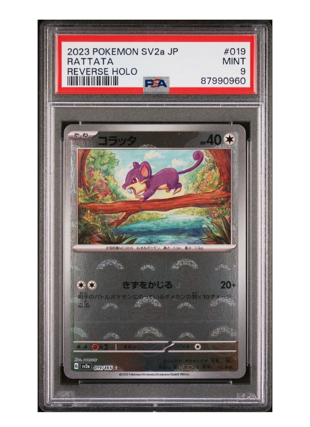 PSA 9 Mint Rattata Reverse Holo Sv2a Pokemon 151 Japanese Tcg 019/165 ...
