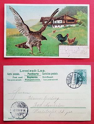 Künstler Litho AK 1903 Adler Hahn Huhn Vögel ( 21518 | eBay.de