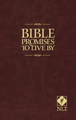 Bible Promises to Live By, Amy E. Mason 9781414313559| eBay