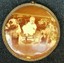 ANTIQUE VINTAGE AMERICAN PIT BULLS DOG BABY CHICAGO MEDALLION BUTTON ...