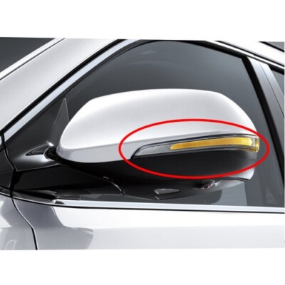 Genuine 87624 GI000 OEM Right Mirror Turn Signal Lamp for Hyundai ...