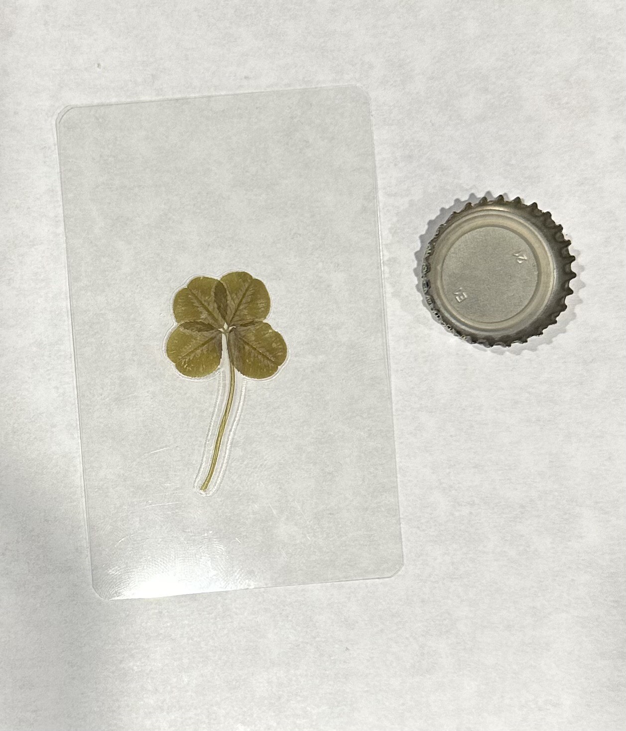 Real Four Leaf Clover–holiday gift-Laminated 4 Leaf Clover-wedding ...