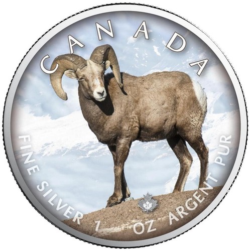BIGHORN SHEEP ON THE TRAILS OF WILDLIFE MAPLE LEAF 2021 1 oz Pure ...