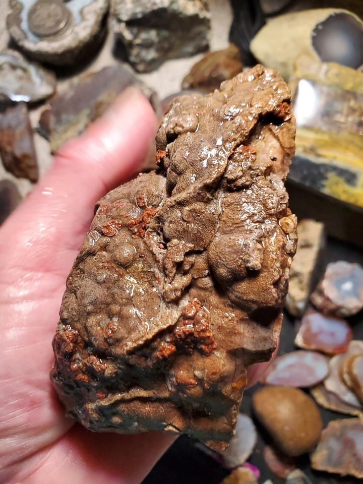 Rare UNCUT Baker Ranch Banded Agate Thunderegg Face Showing Crystal ...