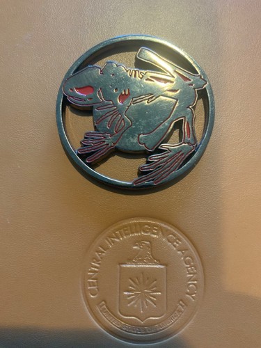 US Navy SEAL Team DEVGRU ST17 Intelligence Department Coin RARE | eBay