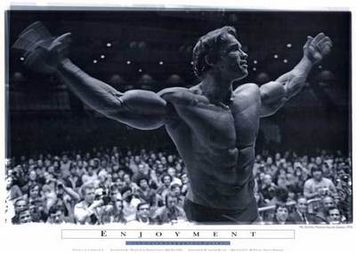 PUMPING IRON Movie Promo POSTER E Arnold Schwarzenegger Lou Ferrigno | eBay