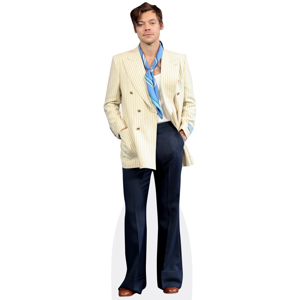 Harry Styles Standing Up Full Body Harry Styles Cardboard Cutouts