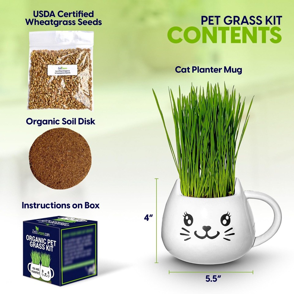 Organic Cat Grass Growing Kit - Promotes Natural Hairball Control and ...
