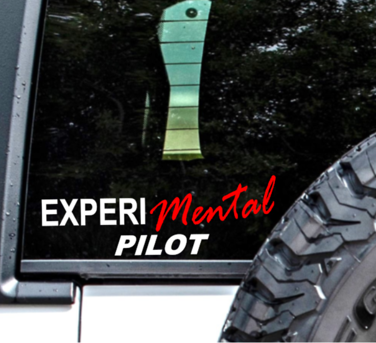 ExperiMENTAL Pilot Aviation Decal UltraLight Vans Cub STOL Cessna ...