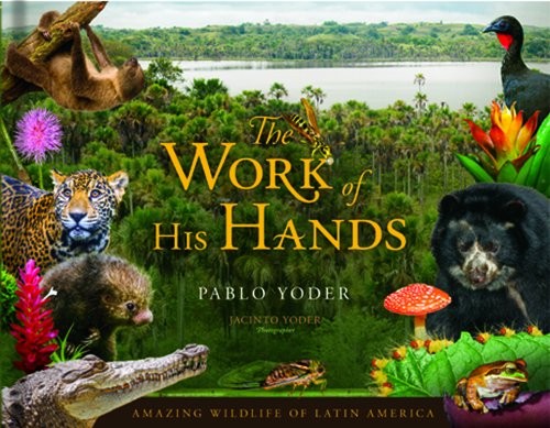 THE WORK OF HIS HANDS By Pablo Yoder & Jacinto Yoder - Hardcover ...