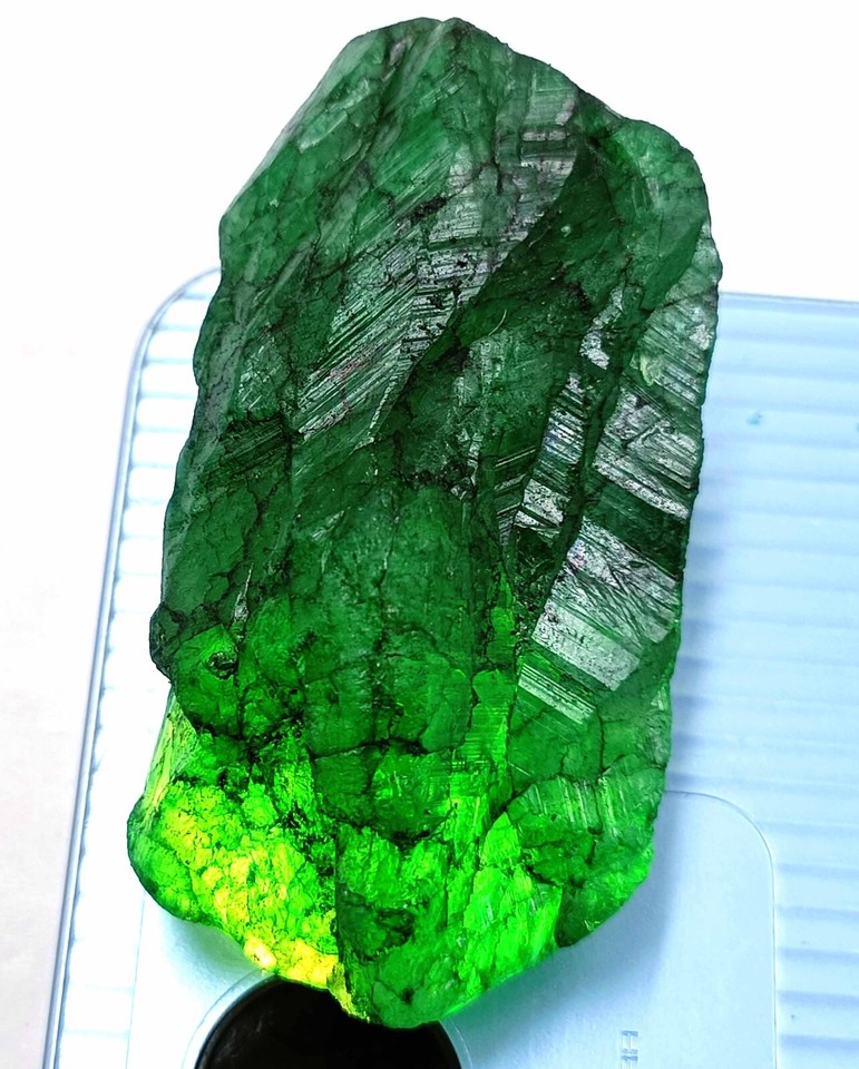 DYED 333 CT NATURAL GREEN EMERALD EGL CERTIFIED ENHANCED TRANSLUCENT ...